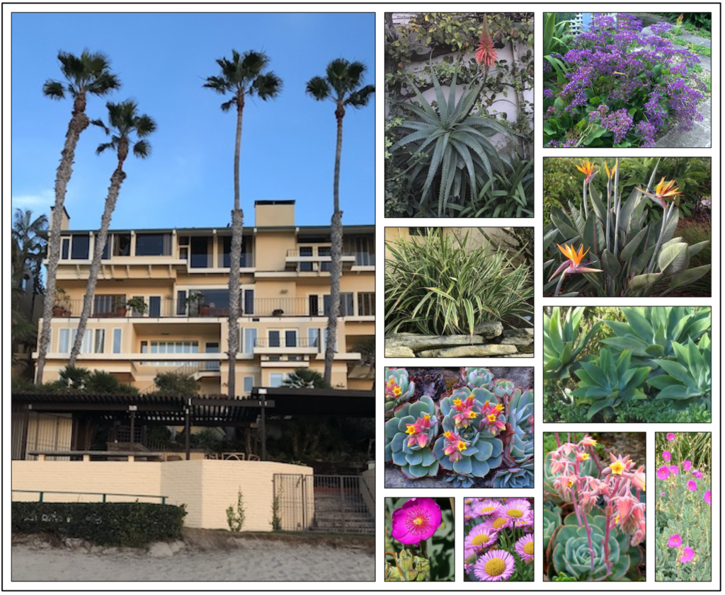 Residential – FREDERICK THOMAS HUME